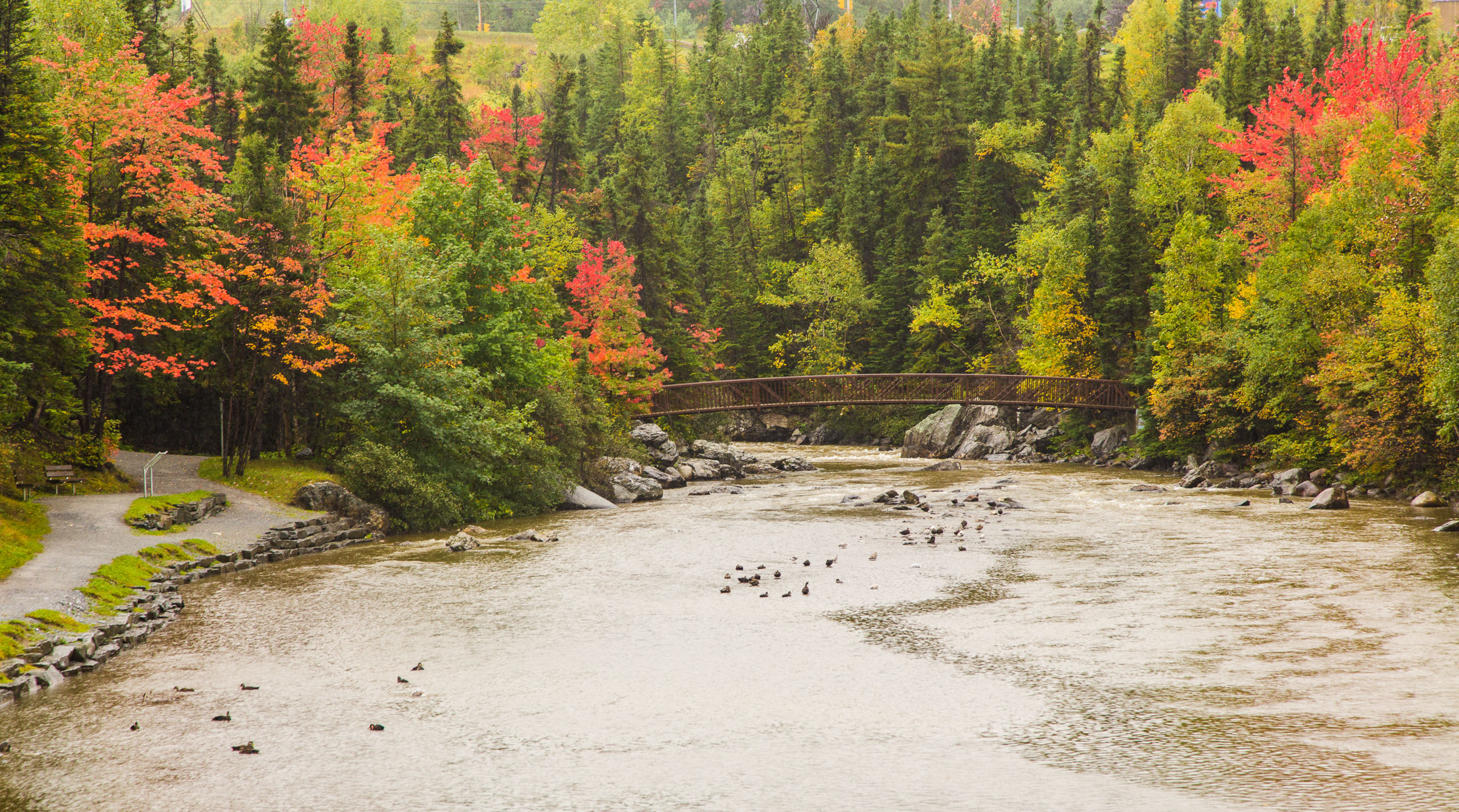 Corner Brook, Canada - Making Photos