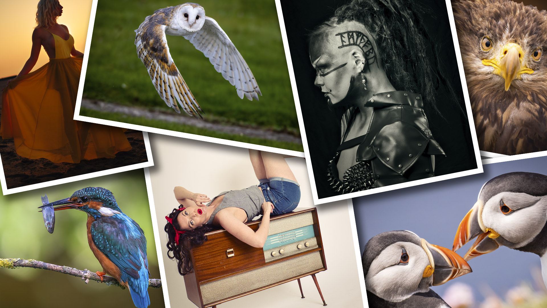 YOUR top 10 images from 2021 - Making Photos